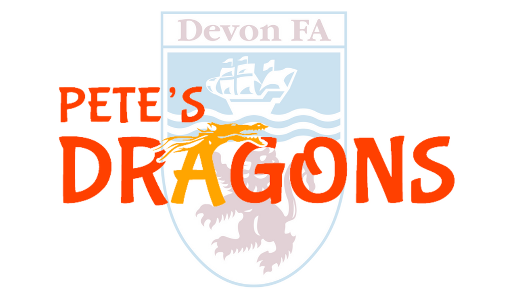 Our 2021-22 Charity Partner - Devon FA