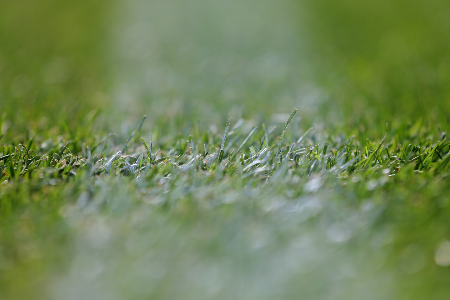 Find Funding For Projects - Kent FA