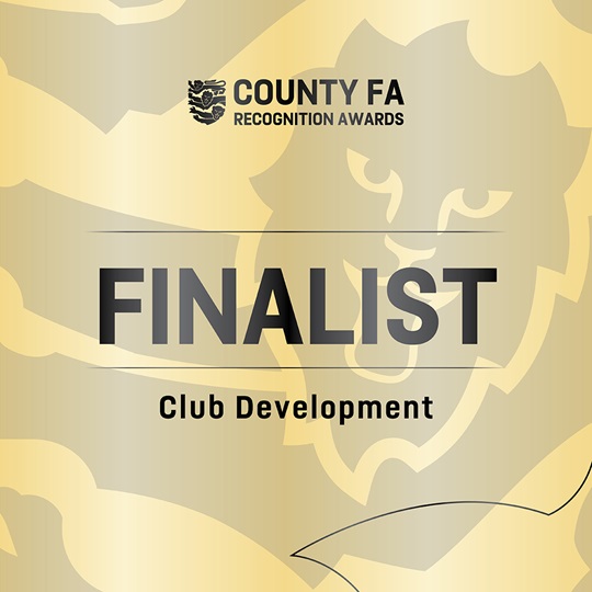 STAFFORDSHIRE FA SHORTLISTED FOR THE COUNTY FA RECOGNITION AWARDS 2025 ...