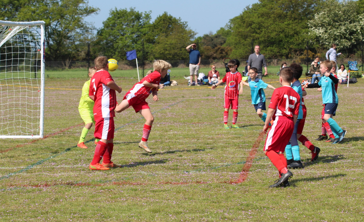 Sign up for the 2024 Grassroots Festival - Suffolk FA