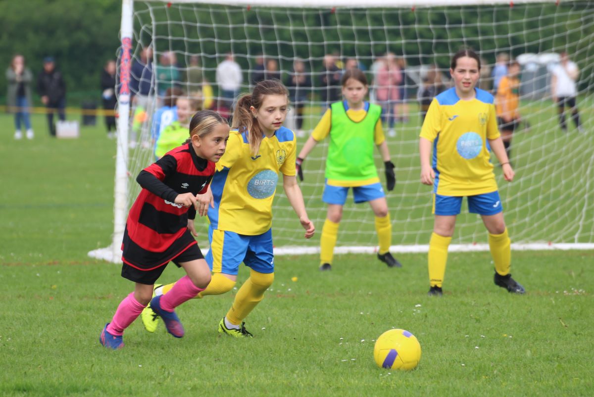 Festival is hailed as one of the best yet - Suffolk FA