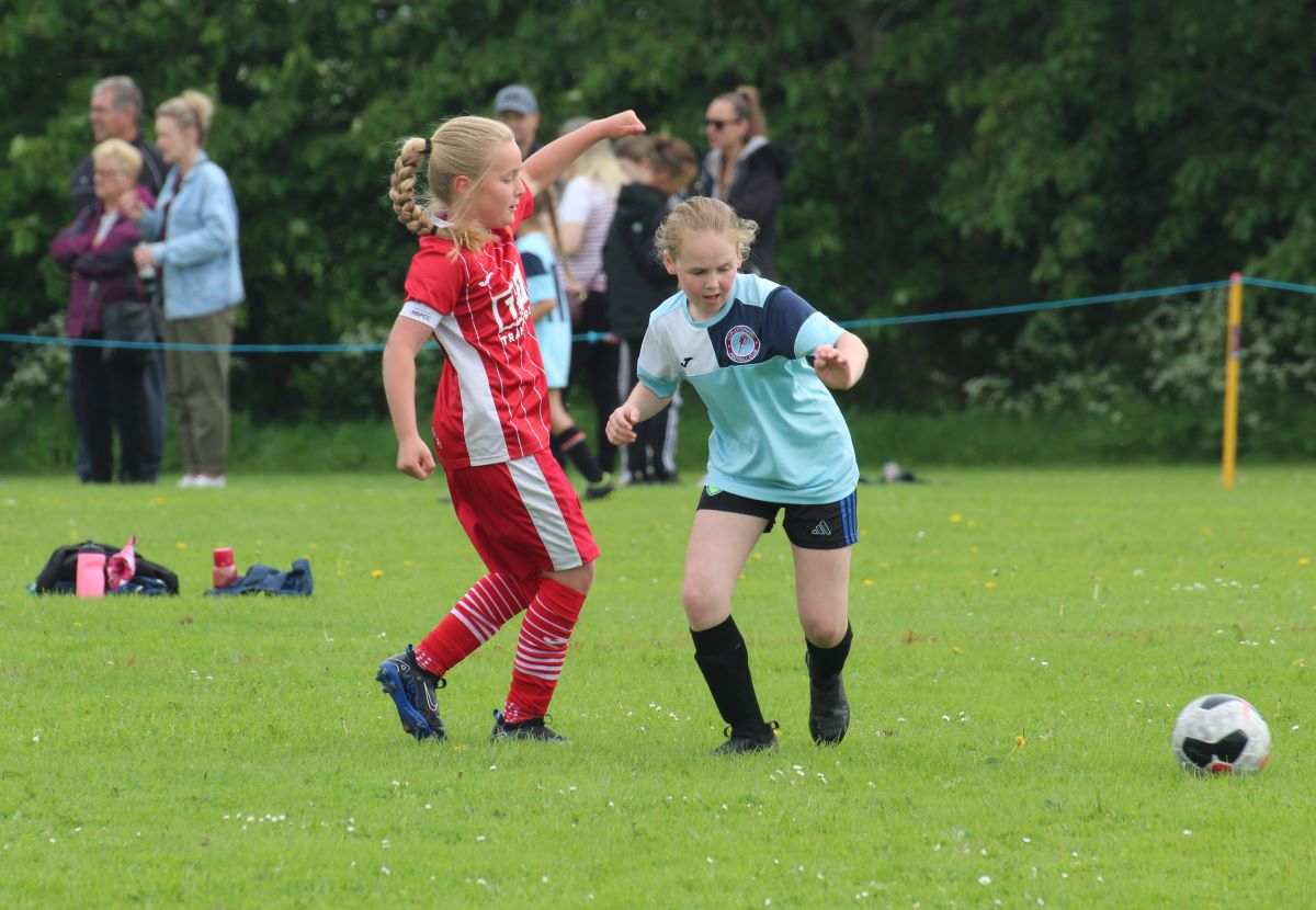 Grassroots Festival schedule released - Suffolk FA