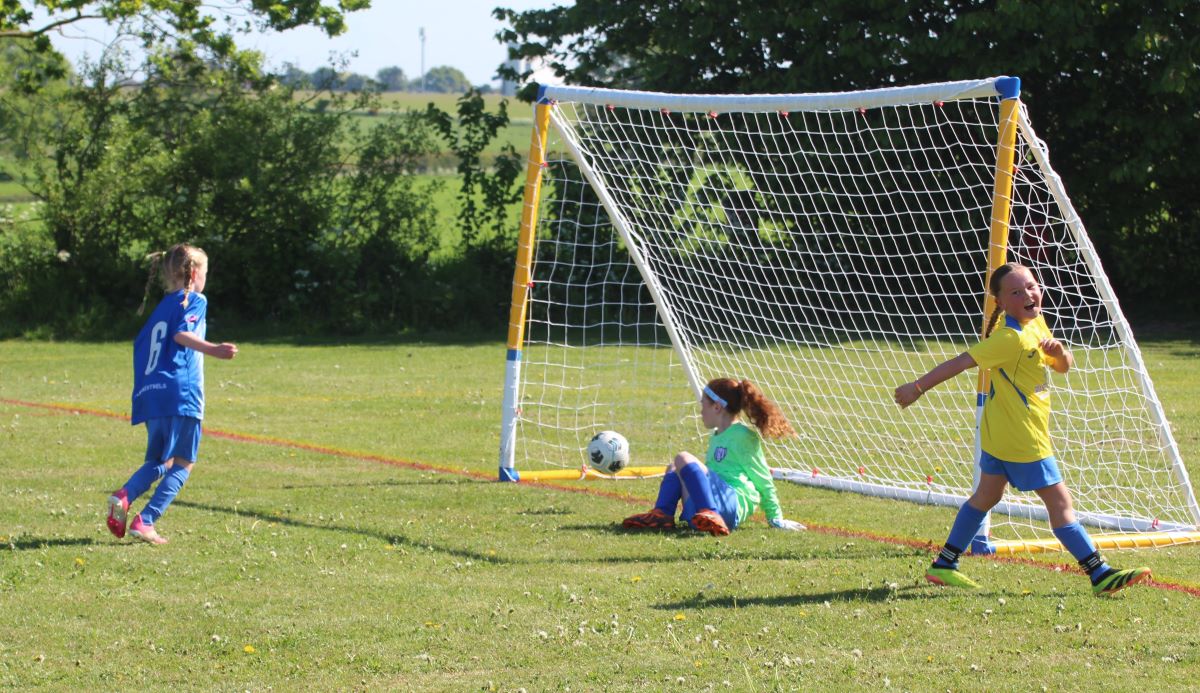 Big crowds flock to Grassroots Festival - Suffolk FA