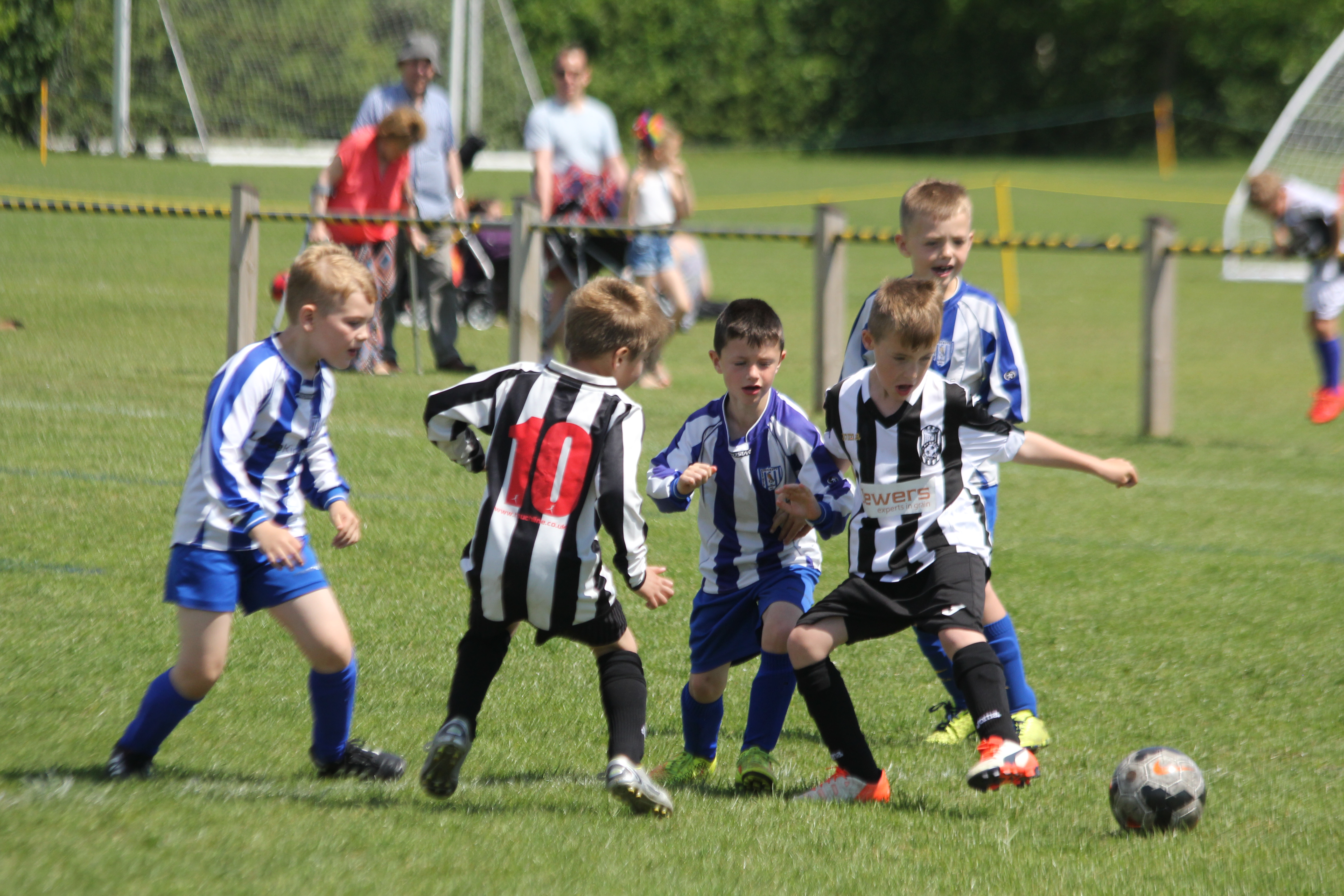 Find Players - Suffolk FA