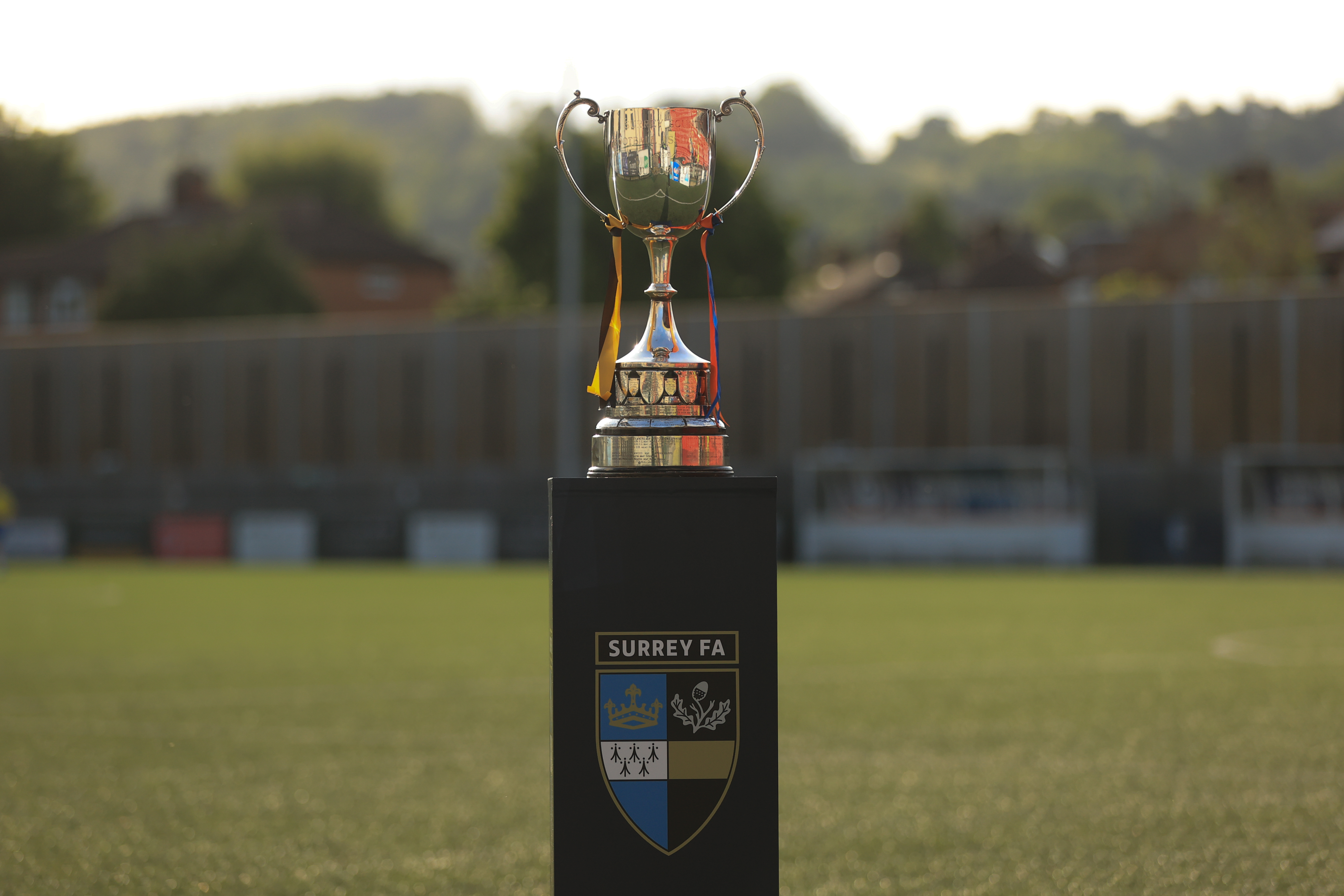 County Cup Winners 2022/23 - [Surrey FA]
