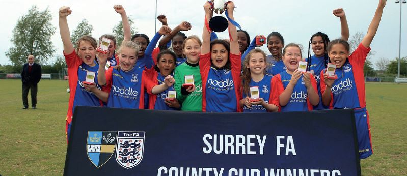 Online Tickets - Surrey FA